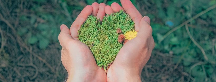 5 ways to go green in 2020